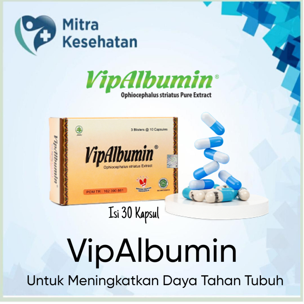 Jual Vipalbumin 500mg untuk Meningkatkan Daya Tahan Tubuh perbox 30 Kapsul | Shopee Indonesia