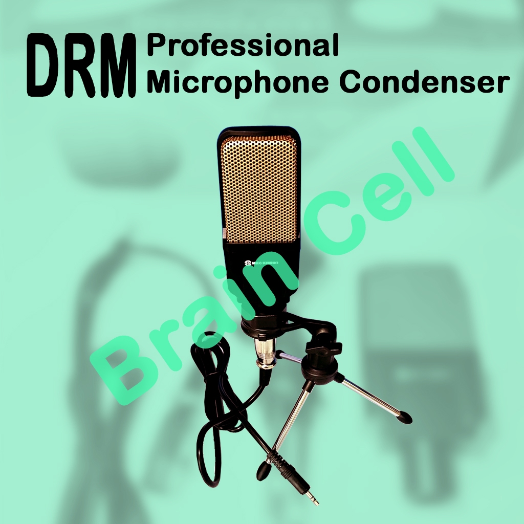 Jual Mic Mikrofon karaoke kondenser / Professional Microphone condenser ...