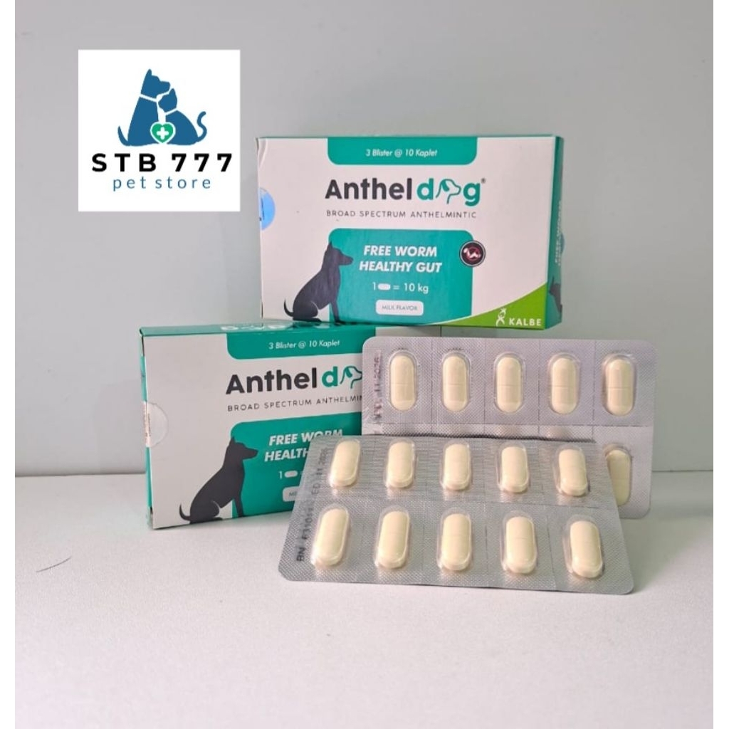 Jual ANTHEL DOG 1 tablet - obat cacing anjing Original | Shopee Indonesia