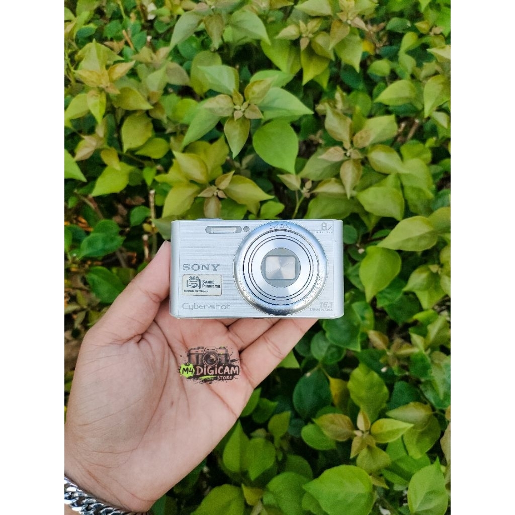 Jual DIGICAM SONY CYBERSHOT DSC-W730 SILVER | Shopee Indonesia