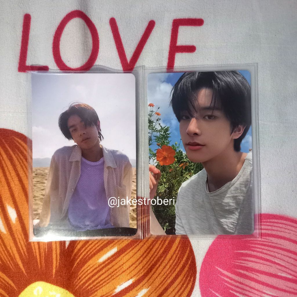 Jual WTS PC Jake Enhypen Official Pantai Weverse Dimension Dilemma DD Bunga Orange Blood OB ...