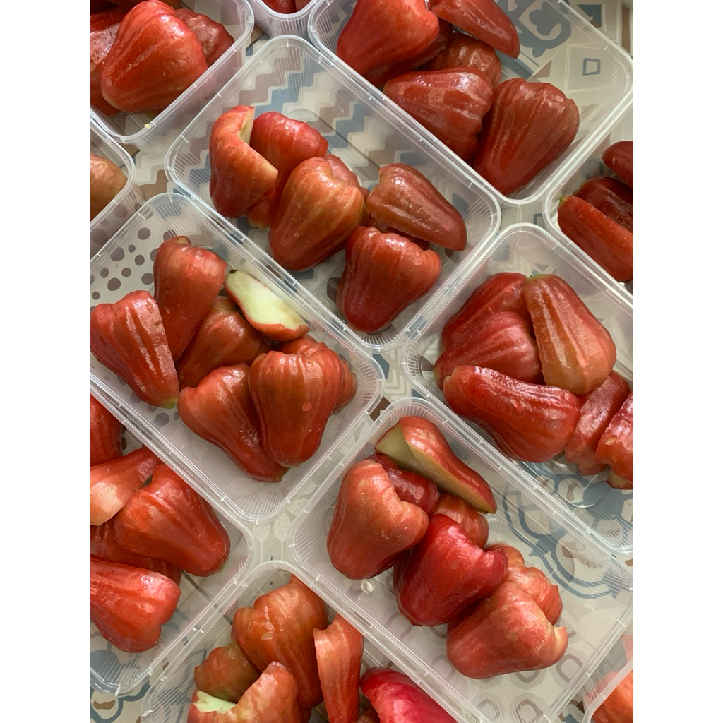 Jual Rujak Uleg Rujak Bangkok Jambu Air Citra Manis 300gram | Shopee ...