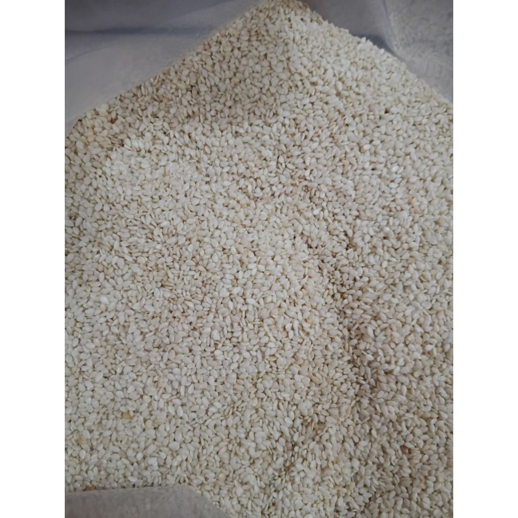 Jual Wijen Putih (White Sesame Seeds) - 5 kg, 10 kg | Shopee Indonesia