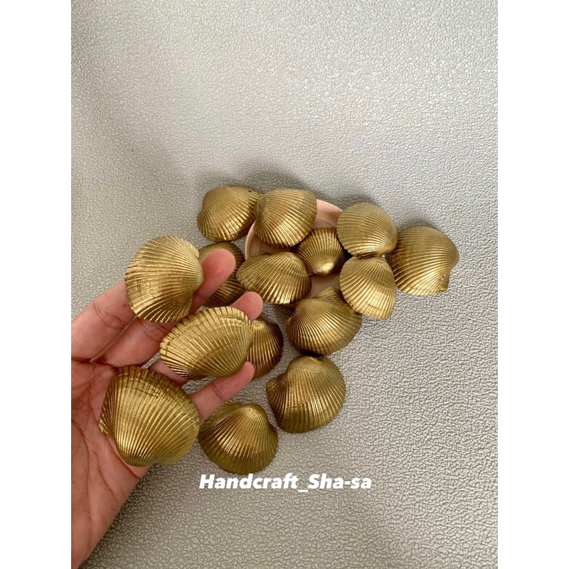 Jual Cangkang Kerang Ukuran Besar Warna Gold | Shopee Indonesia