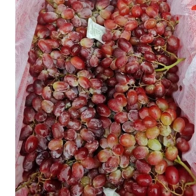 Jual ANGGUR CRIMSON 1 KERANJANG 5kg | Shopee Indonesia