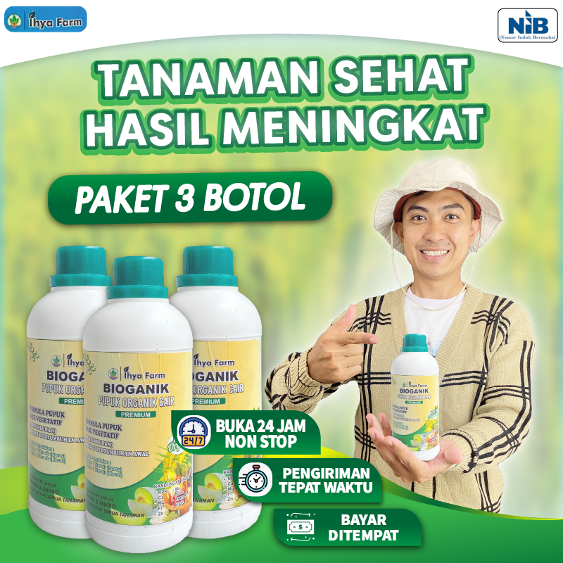 Jual Pupuk Bioganik Fase Vegetatif Untuk Mempercepat Masa Pertumbuhan ...