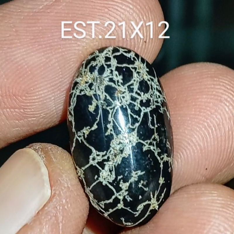 Jual NATURAL PIRUS HITAM SAKRAL URAT EMAS GUNUNG RAUNG HQ LANGKA bukan ...