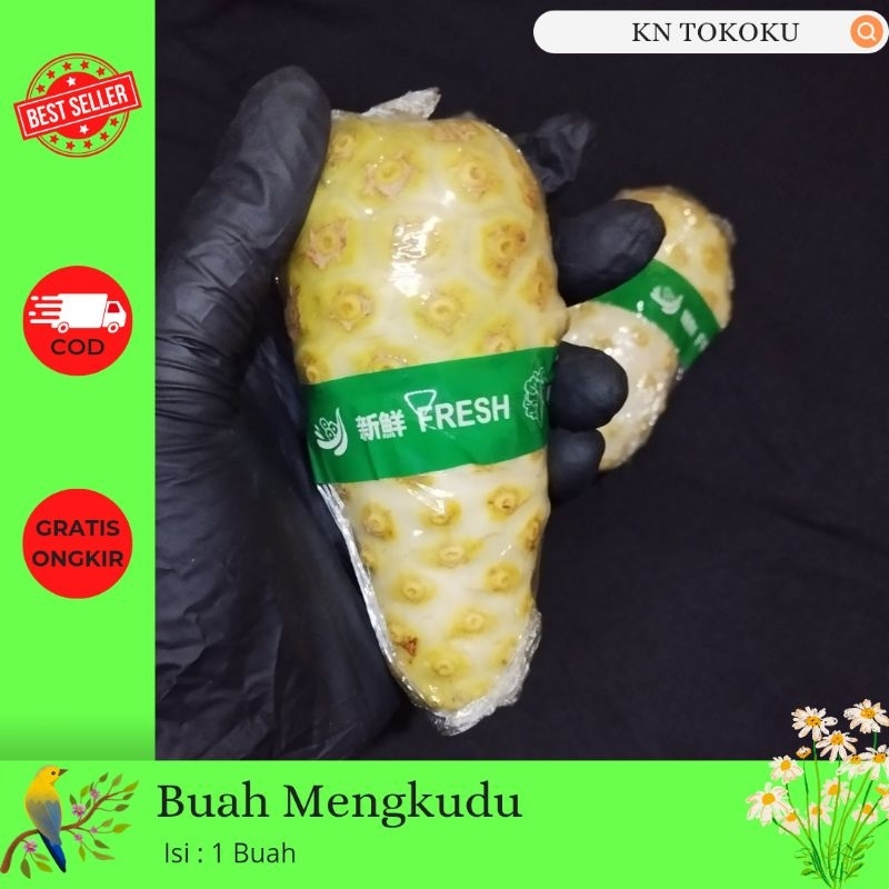 Jual 1 Buah Mengkudu Cangkudu Buah Noni Kudu Pace Segar | Shopee Indonesia