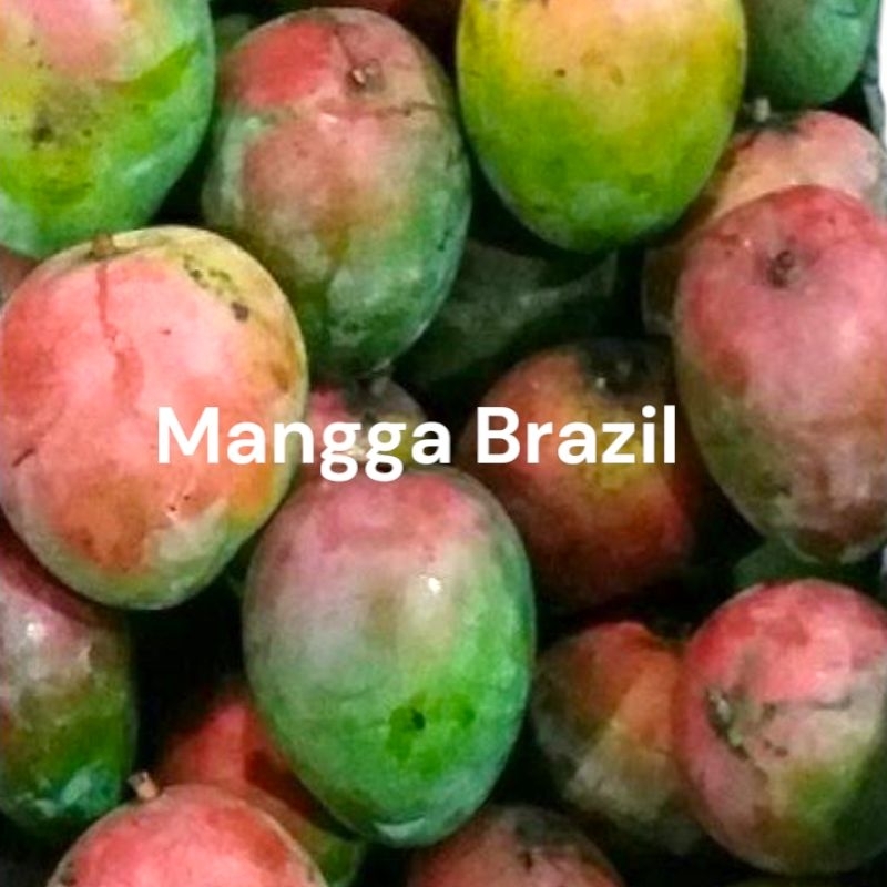 Jual Buah Mangga Brazil Premium Mengkel Keras Muda ukuran 500 gram 1000 ...