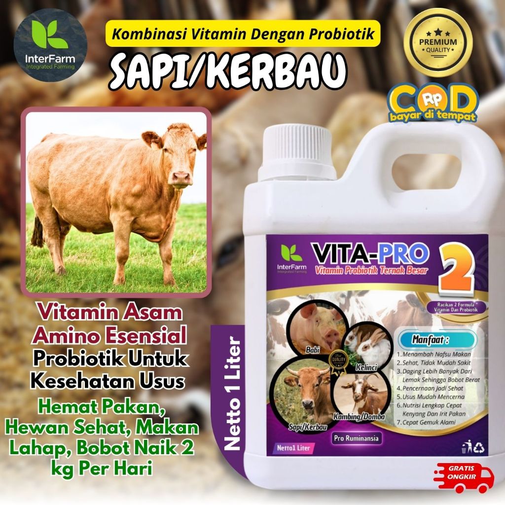 Jual Obat penggemuk sapi, Vitamin penggemuk sapi paling cepat, Jamu ...