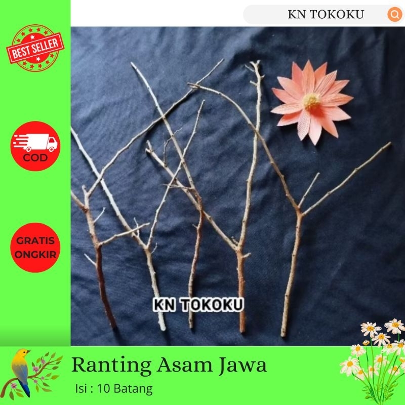 Jual 10 Ranting Pohon Bahan Prakarya Kreasi Rustic Dan Hiasan Mahar ...