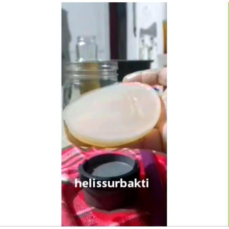 Jual bibit jamur kombucha diameter 10cm + starter 100ml | Shopee Indonesia