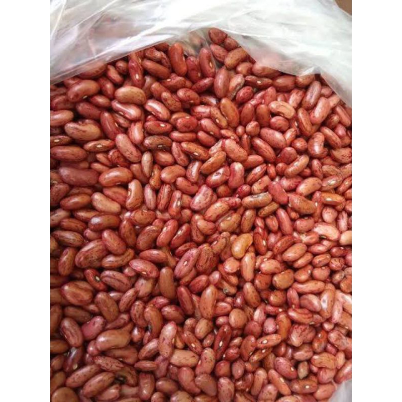 Jual Kacang merah kering fresh 1kg | Shopee Indonesia