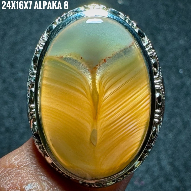 Jual Cincin Batu Akik Natural Cempaka Palm (Luster) | Shopee Indonesia