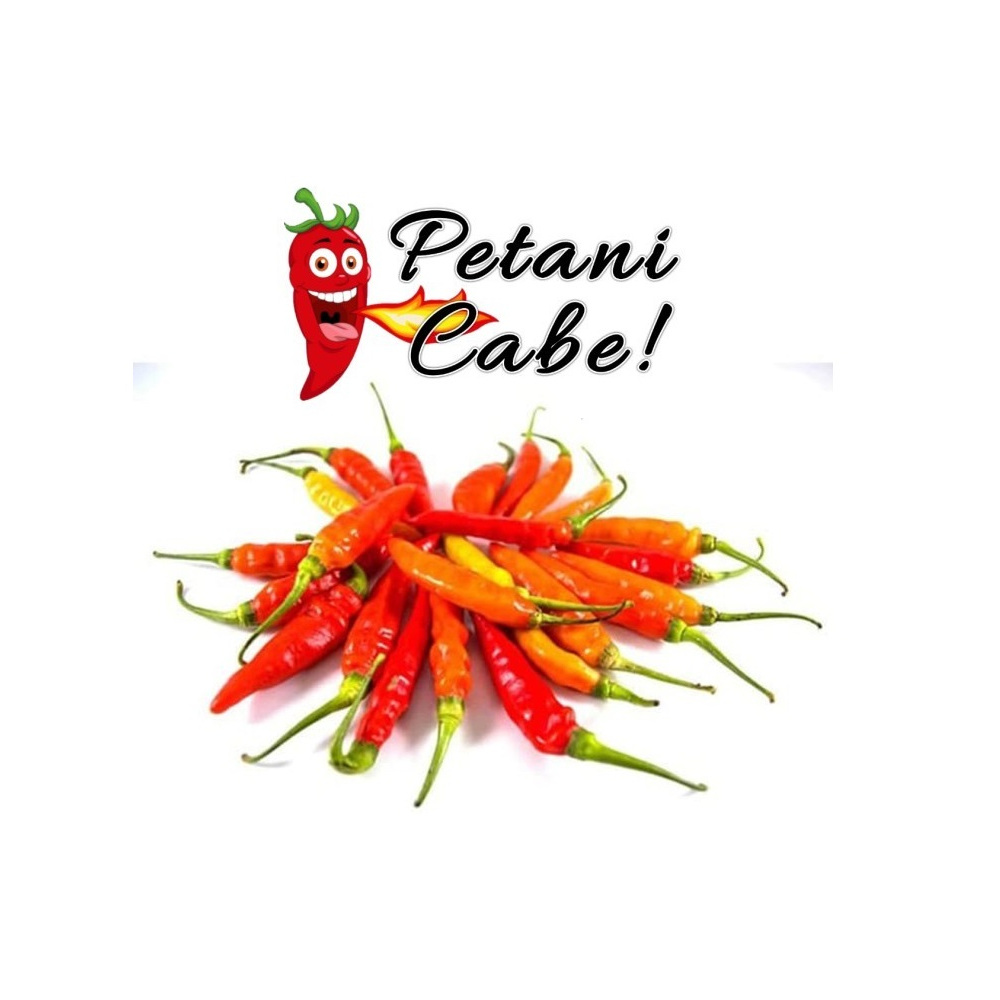 Jual Cabe / Cabai Merah Rawit 1 kg Harga Grosir (Petani Cabe) | Shopee ...