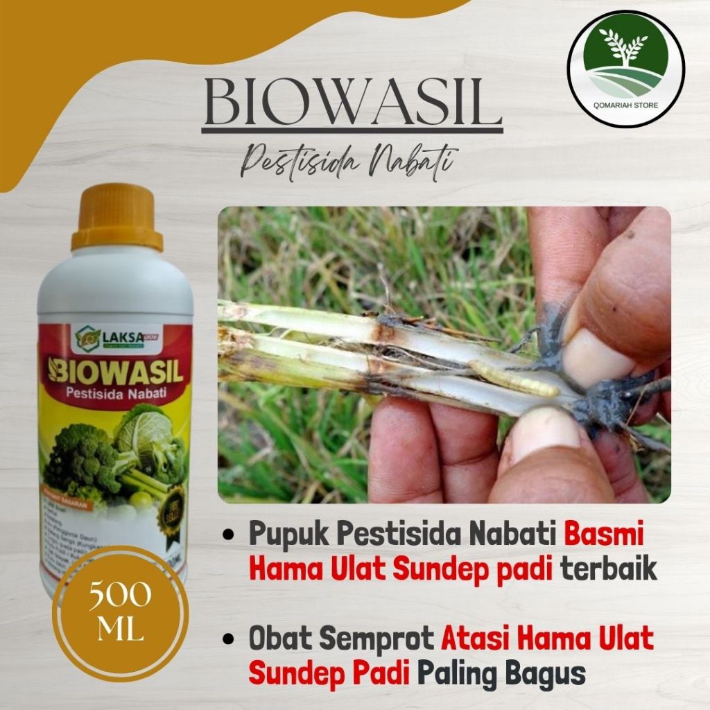 Jual OBAT ANTI HAMA ULAT SUNDEP PADI - BIOWASIL 500ML Pestisida untuk ...
