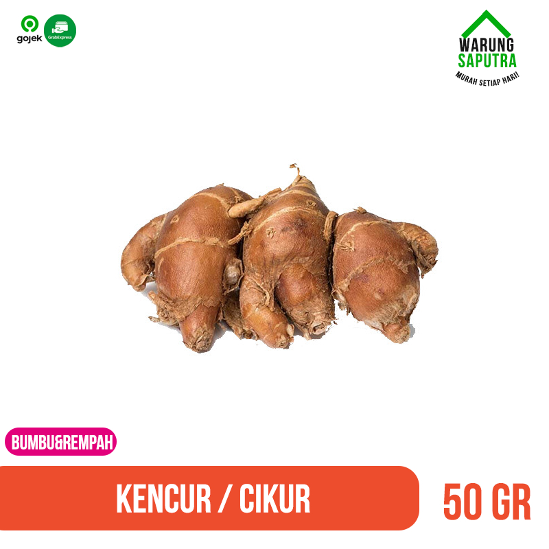 Jual Cikur / Kencur Rempah 100 g | Shopee Indonesia