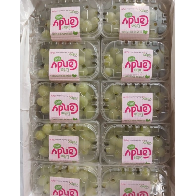 Jual Anggur Catton Candy Manis Crunchy 500 Grm | Shopee Indonesia