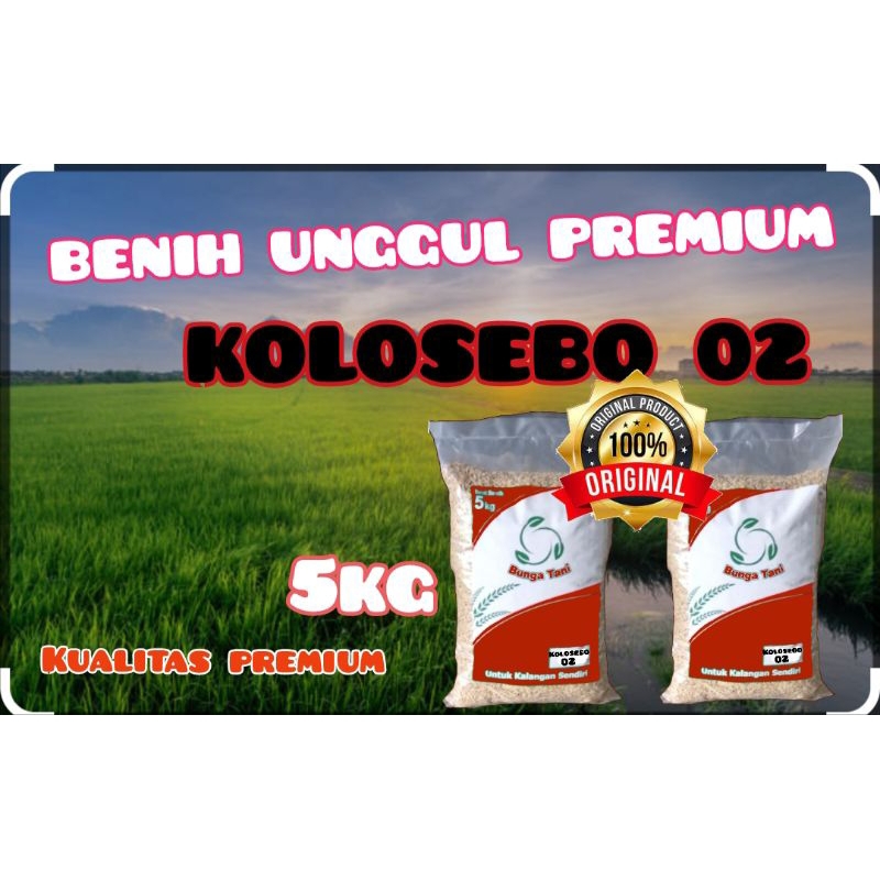 Jual BENIH UNGGUL PREMIUM KOLOSEBO 02 5KG | Shopee Indonesia