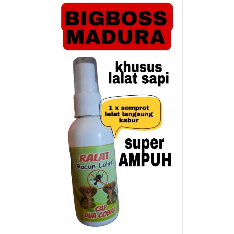 Jual RACUN LALAT SAPI tinggal semprot lalat pergi aman untuk sapi ...