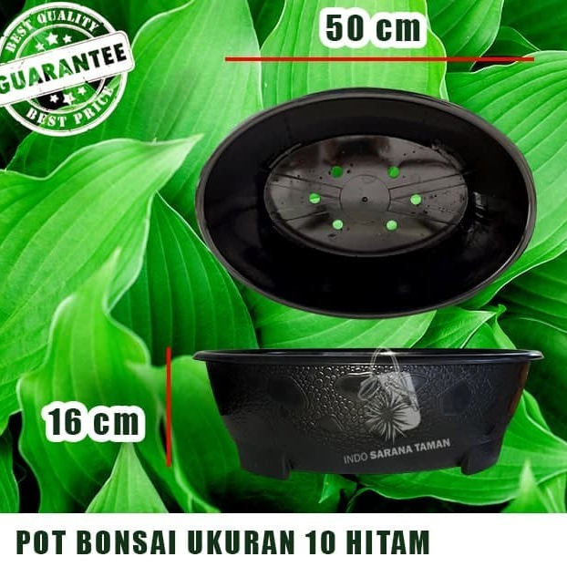 Jual POT BONSAI 10 HITAM Pot Tanaman Pot Bunga Pot Plastik GROSIR POT ...