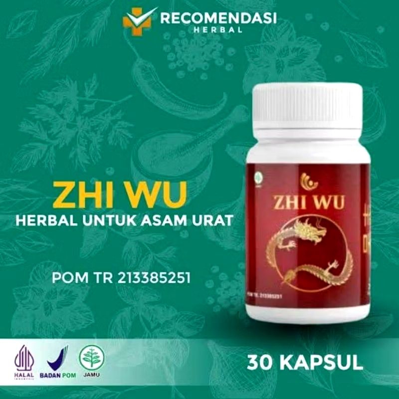 Jual Zhi Wu Asli Original Obat Asam Urat Rematik Anti Sendi Nyeri Otot ...
