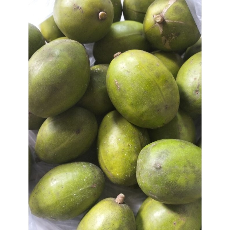 Jual BUAH KEDONDONG HARGA 1KG | Shopee Indonesia