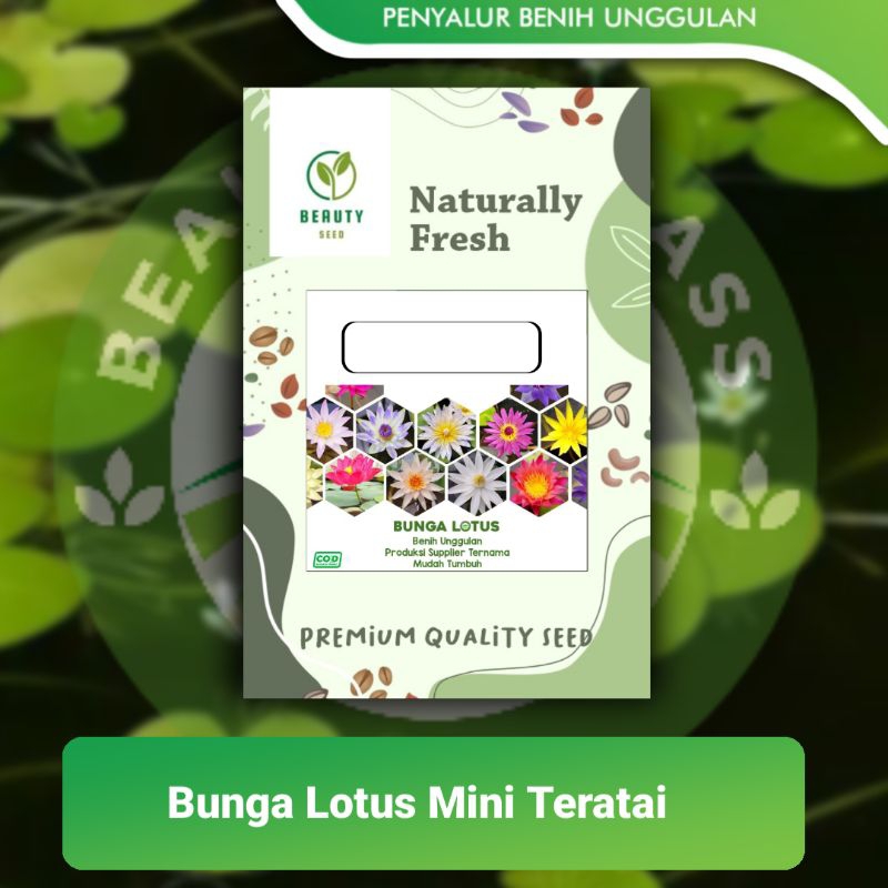 Jual BIJI BENIH BUNGA TERATAI MINI - BIJI TERATAI ISI 10 / BIJI BUNGA ...