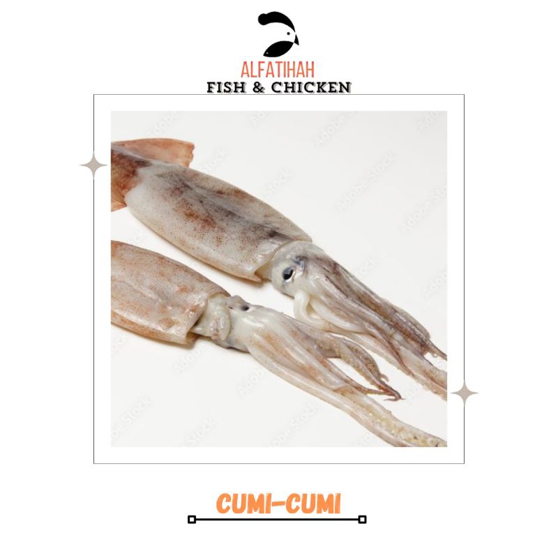 Jual Cumi-Cumi fresh | Shopee Indonesia