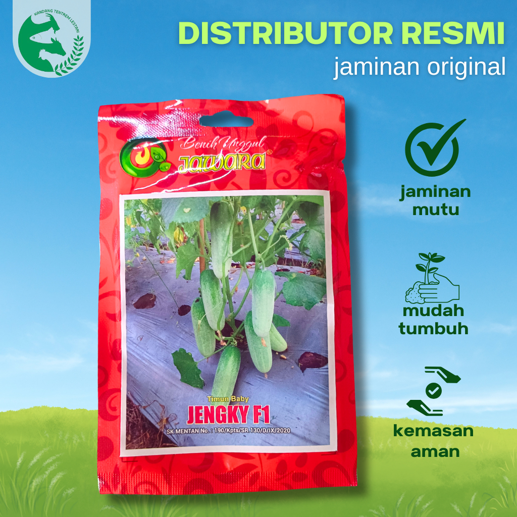 Jual Benih Timun Baby JENGKY F1 20 gram Hibrida Cap JAWARA Unggul Lebat Tahan Layu | Shopee ...