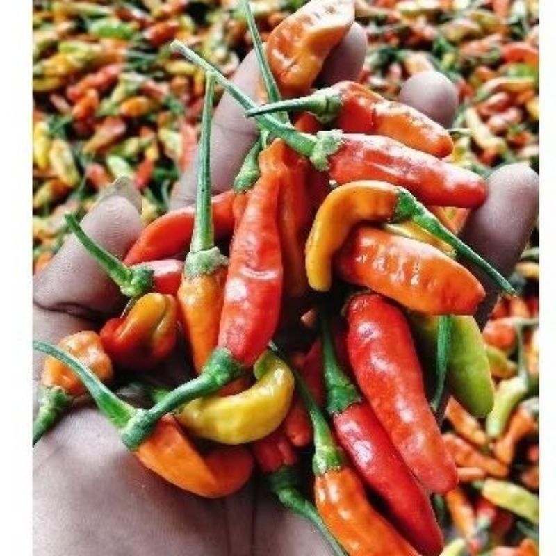 Jual cabe rawit merah setan | Shopee Indonesia