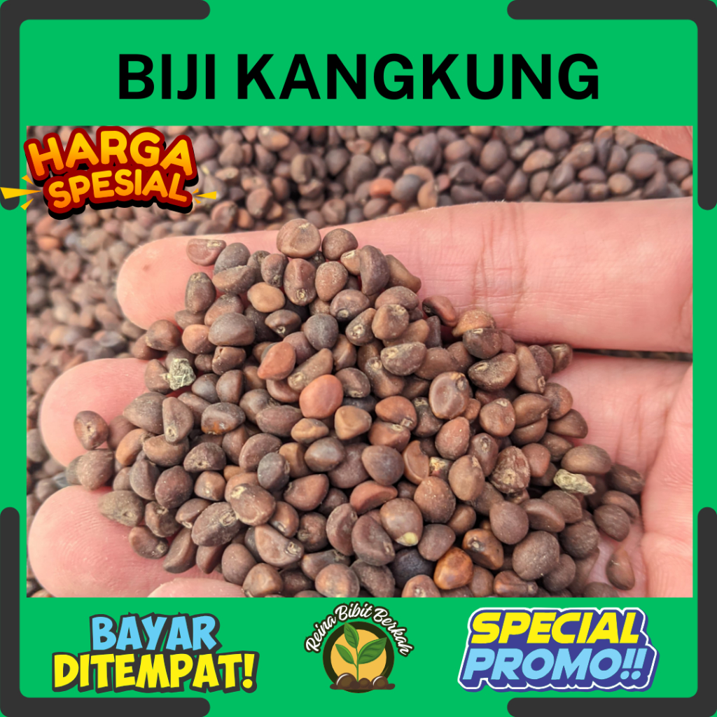 Jual Biji kangkug siap tanam (3000 biji) | Shopee Indonesia