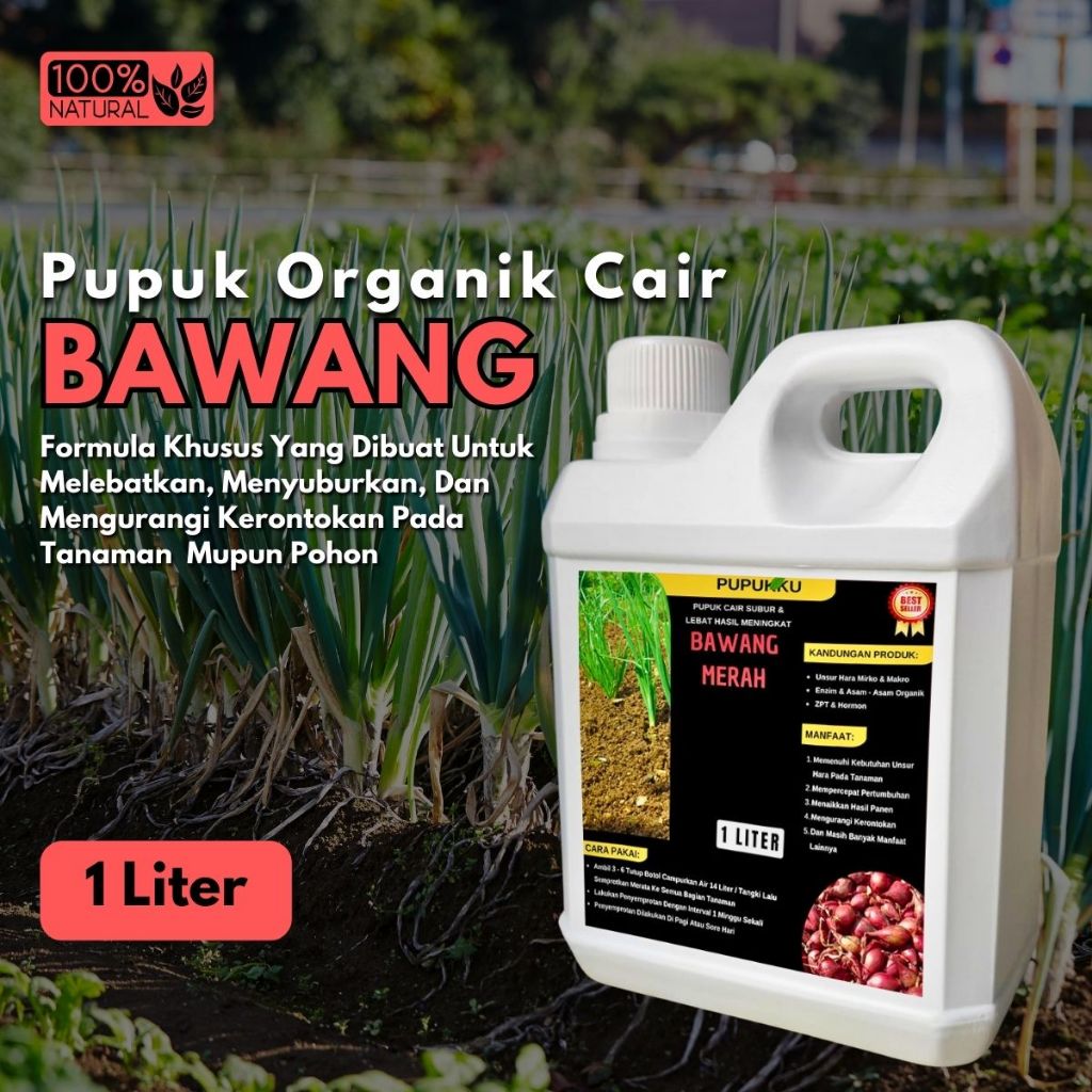 Jual Pupuk Bawang Merah bawang Daun Bawang Putih Booster Pelebat Tanaman Bawang Pupukku Penyubur ...