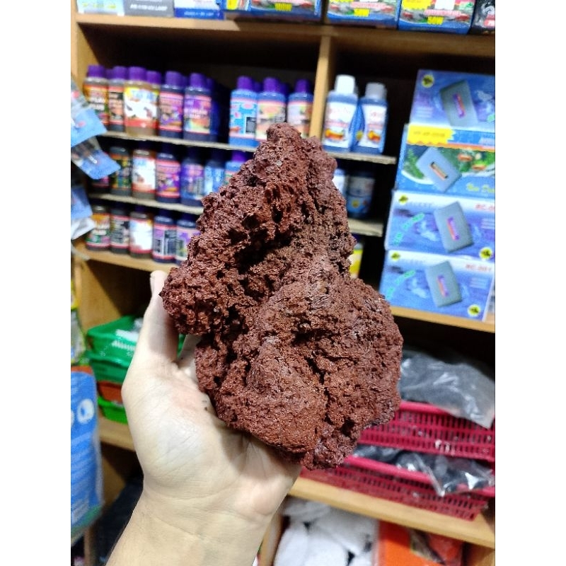 Jual BATU LAVAROCK LAVA ROCK // 1 KG // MERAH // AQUASCAPE | Shopee ...