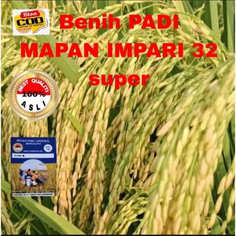 Jual Benih padi MAPAN INPARI-32 SUPER kemasan (5KG) | Shopee Indonesia