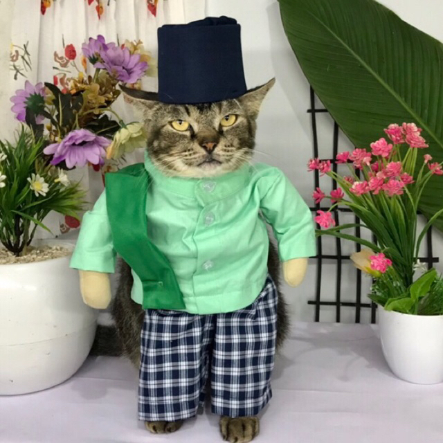 Jual Baju Kucing karakter pak Ustad | Shopee Indonesia