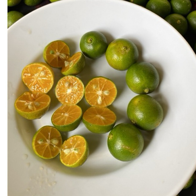 Jual 1KG JERUK/ SONKIT / LEMON CUI/ KASTURI | Shopee Indonesia