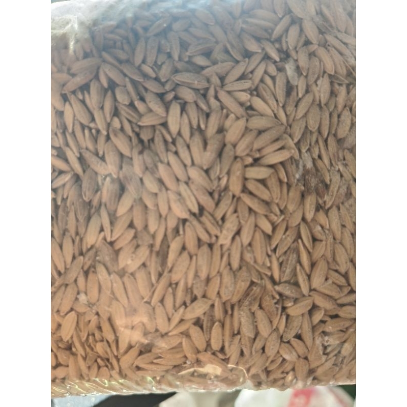 Jual Gabah padi | Shopee Indonesia