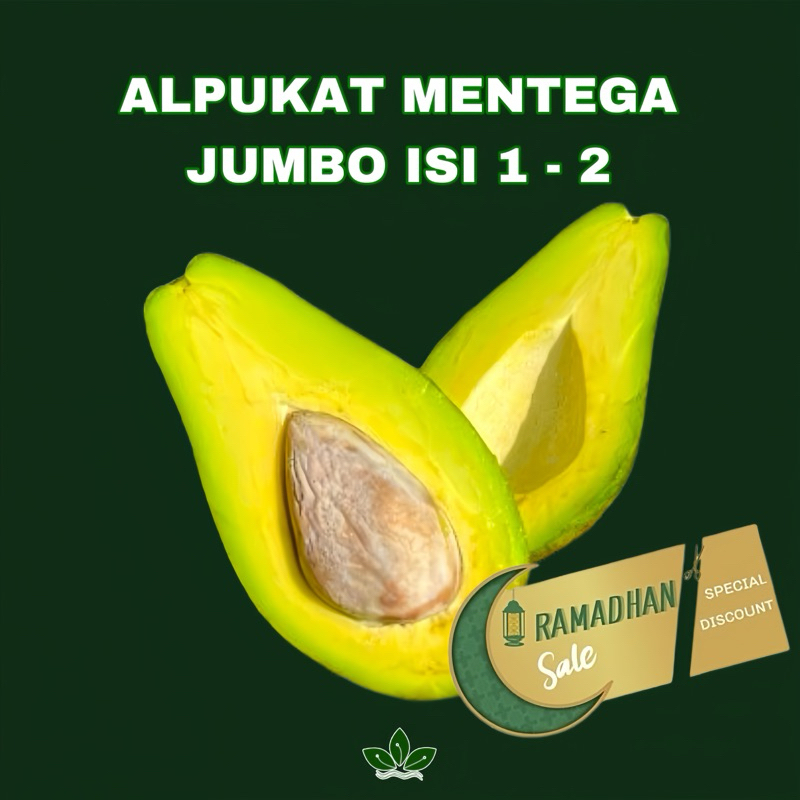 Jual Alpukat Mentega ALIGATOR Super Jumbo 1kg, isi 1-2 (PRODUK ...