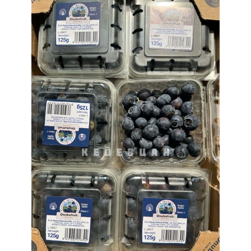 Jual Blueberry Spain 125 gr | Shopee Indonesia