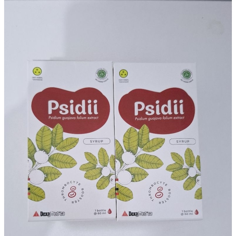 Jual Sirup Untuk Menaikan Trombosit Darah - Psidii Syrup 60 mL | Shopee ...