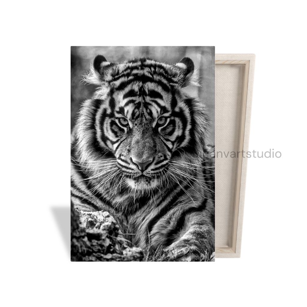 Jual Hiasan Dinding Art Print Harimau Putih Poster Cetak Kanvas Bingkai ...