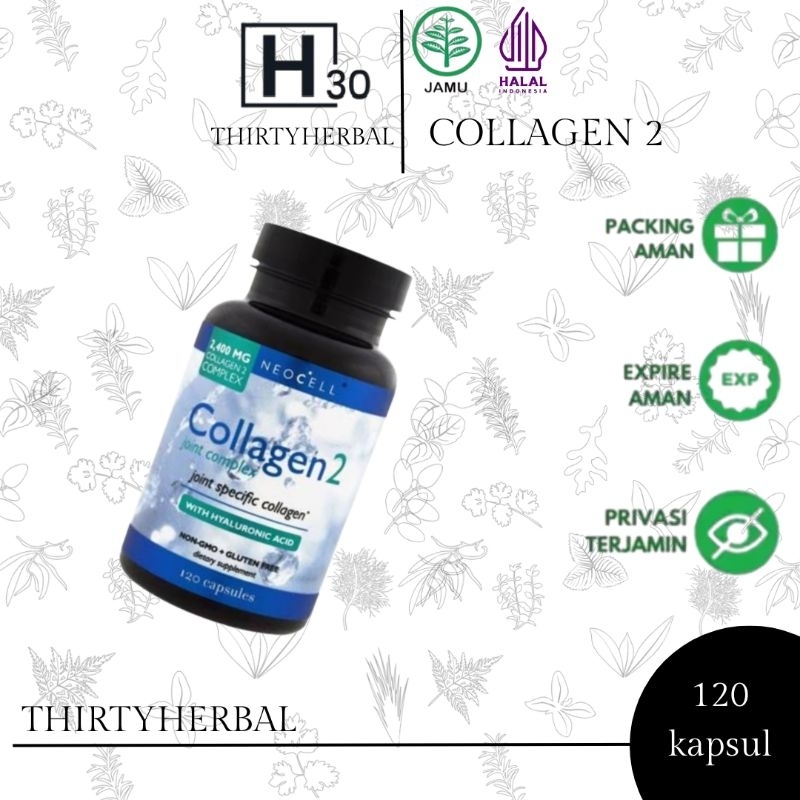 Jual NEOCELL Collagen Type 2 Joint Complex 2400mg Sendi Tulang ...