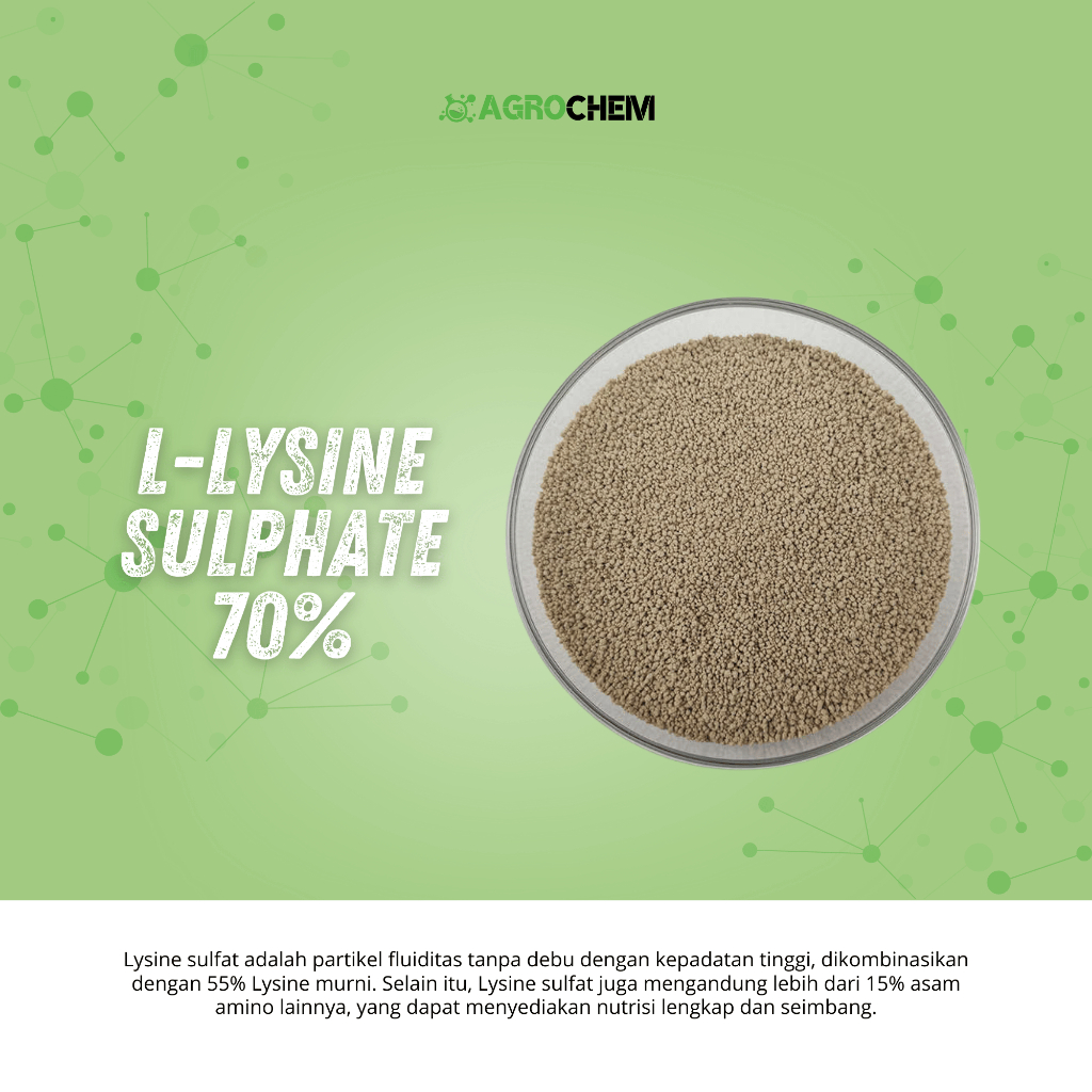 Jual LYSINE Lysin Lisin Lisine 70% Amino Protein Nutrisi Tanaman ...