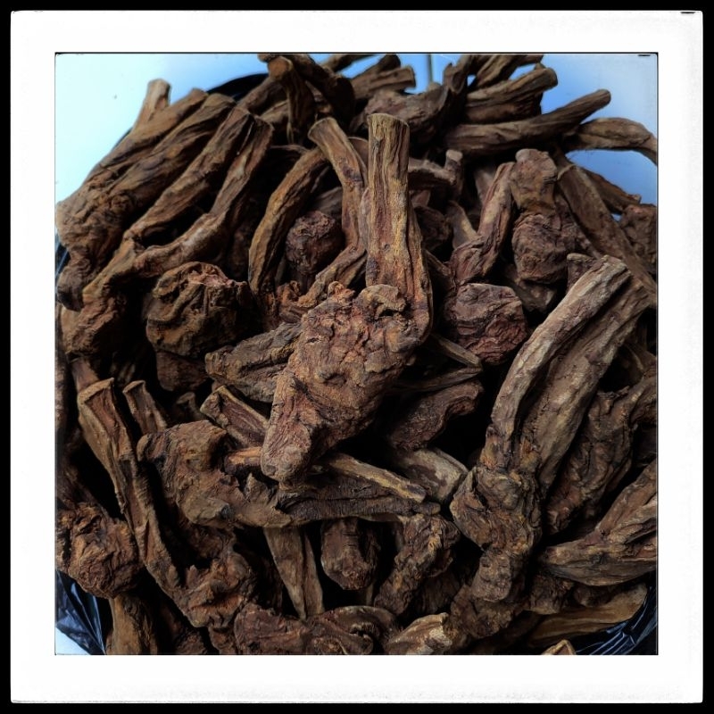 Jual KLEMBAK / KELEMBAK KERING GRADE A (PREMIUM) 100 GRAM | Shopee ...