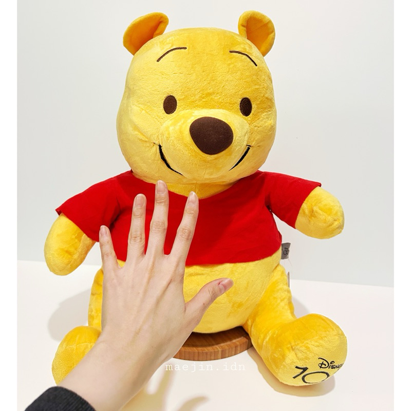 Jual Winnie the Pooh Over 100th BIG Plush Boneka Pooh 100th | Shopee ...