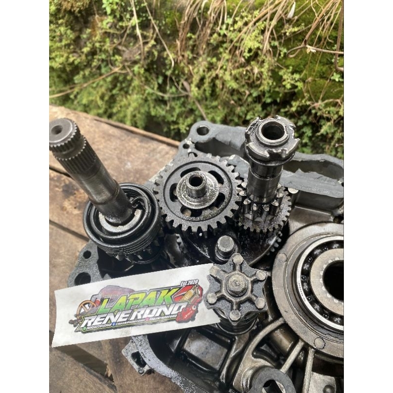 Jual RASIO TIGER 6 SPEED + AS SELAH MINUS LIHAT DI VIDEO | Shopee Indonesia