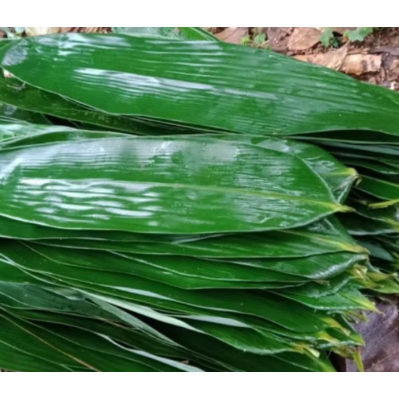 Jual 75 Lembar daun bambu lebar 6~10 cm segar fresh termurah terlaris ...