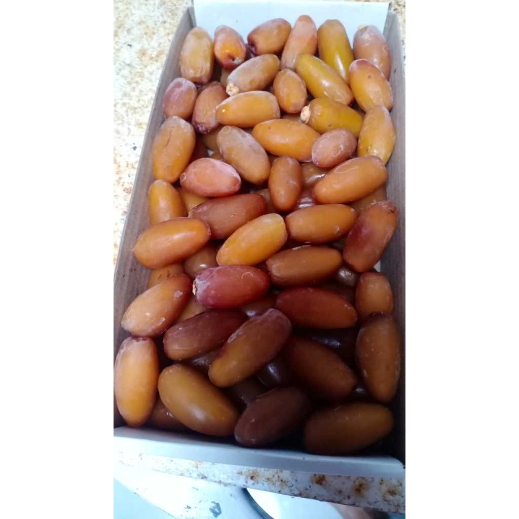 Jual Kurma Ruthob Libya 1kg Fresh Kurma Muda Ruthab Libya Segar Bisa ...