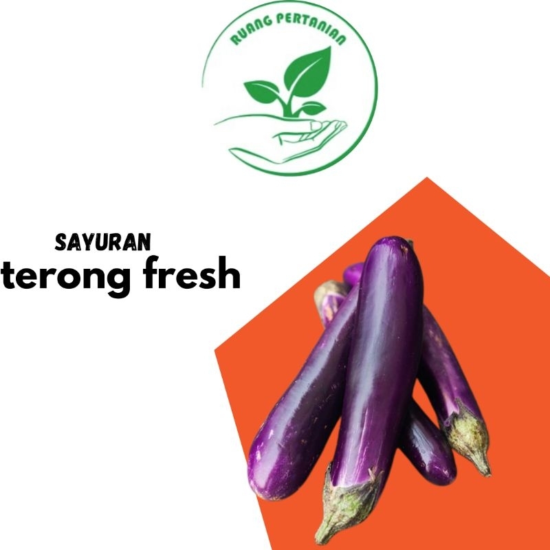 Jual Terong ungu panjang fresh segar per 500g | Shopee Indonesia